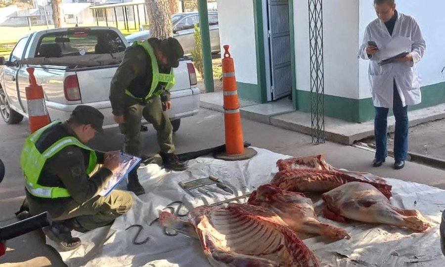 La Guardia Rural realizó procedimientos en distintas partes de la ...